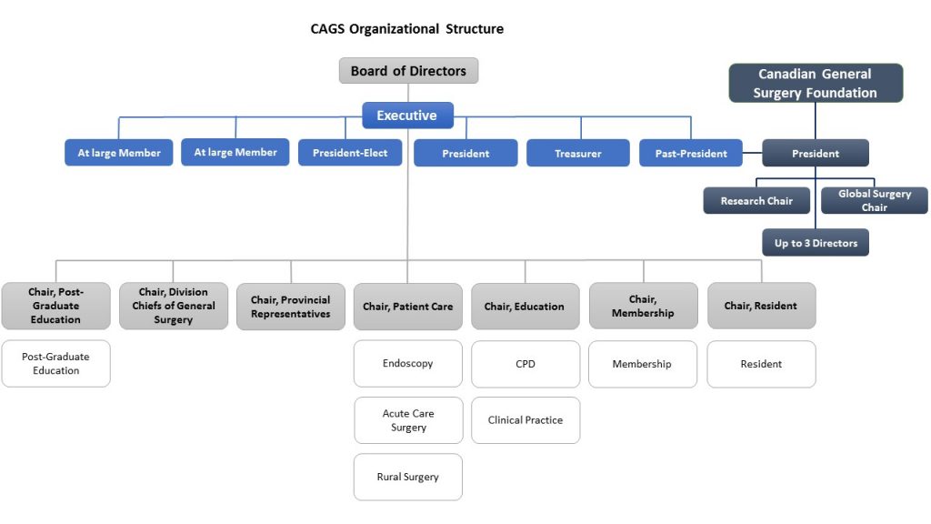 CAGS Board of Directors Org Chart - CAGS